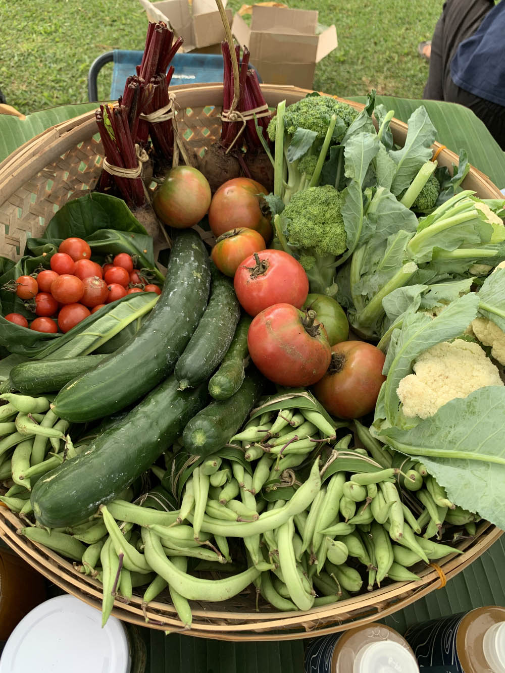 Introduction to Biodynamic Farming – Asosiasi Biodinamik Indonesia